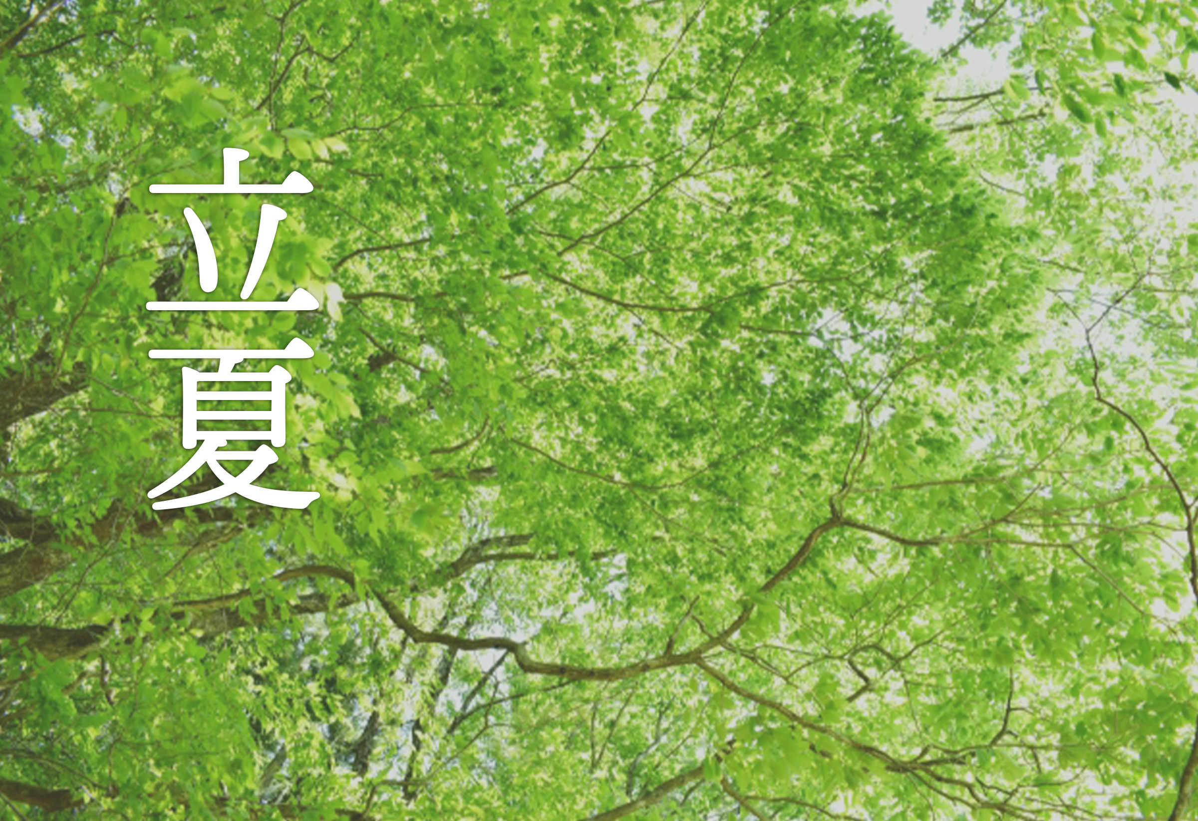 立夏（りっか） | 暦のおはなし | STORE BLOG | Calendia