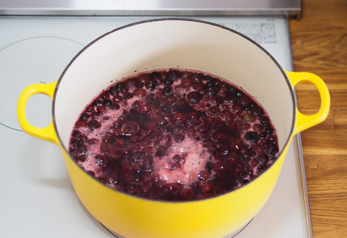 夏の自由研究にもピッタリ。ブルーベリー染めに挑戦！[親子のための今月のRemind] | 今月のRemind | Calendia